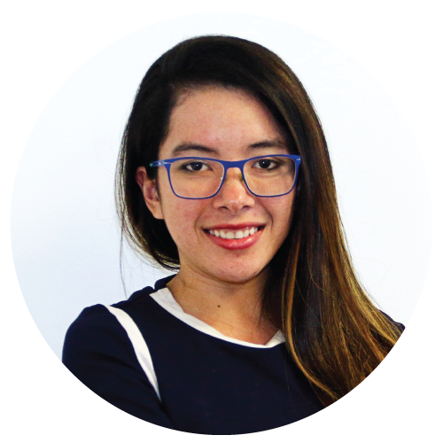 The implementation process of the SDGs: Latin America Regional Survey ...